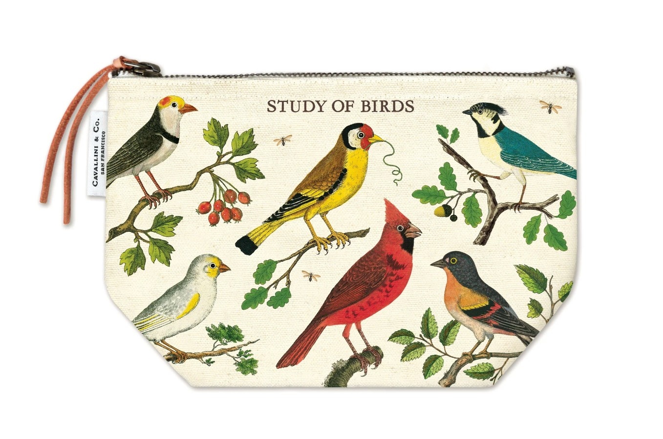 Pouch - Birds - DeMuseumwinkel.com