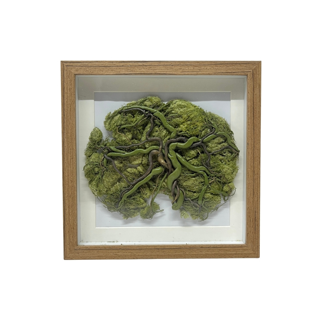 Placenta in frame (Green) - DeMuseumwinkel.com