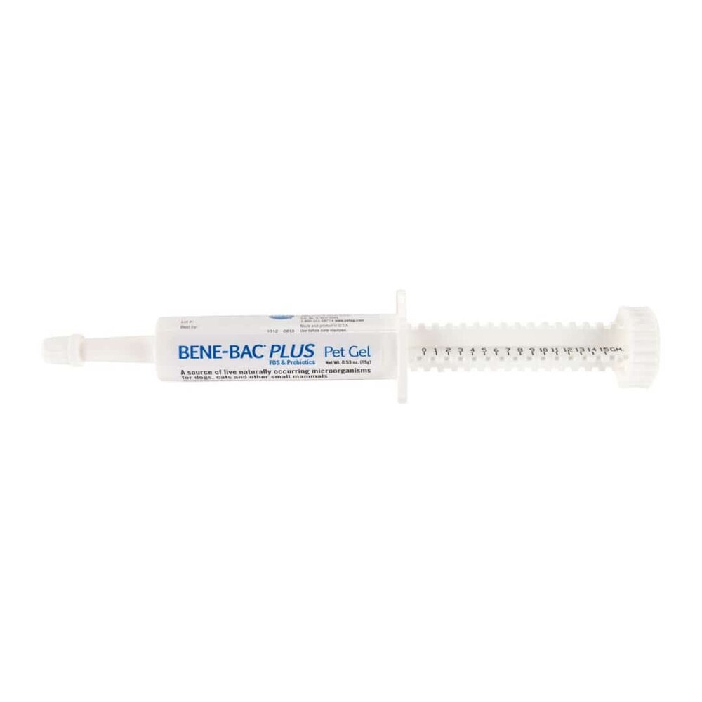 Bene-Bac Plus Pet - Gel tube 15 g (Pro Pack) - Equiroyal