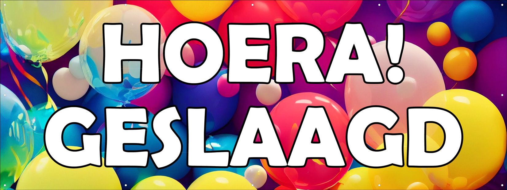 Spandoek 'Hoera geslaagd - Ballonnen' - Diverse formaten - Partyprintje ...