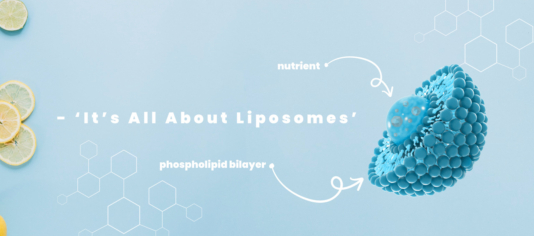 Over Liposomen - VROVIT