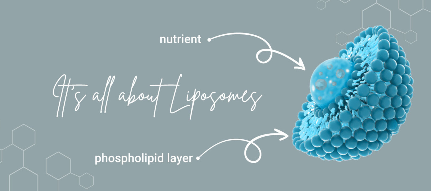 Over Liposomen - VROVIT