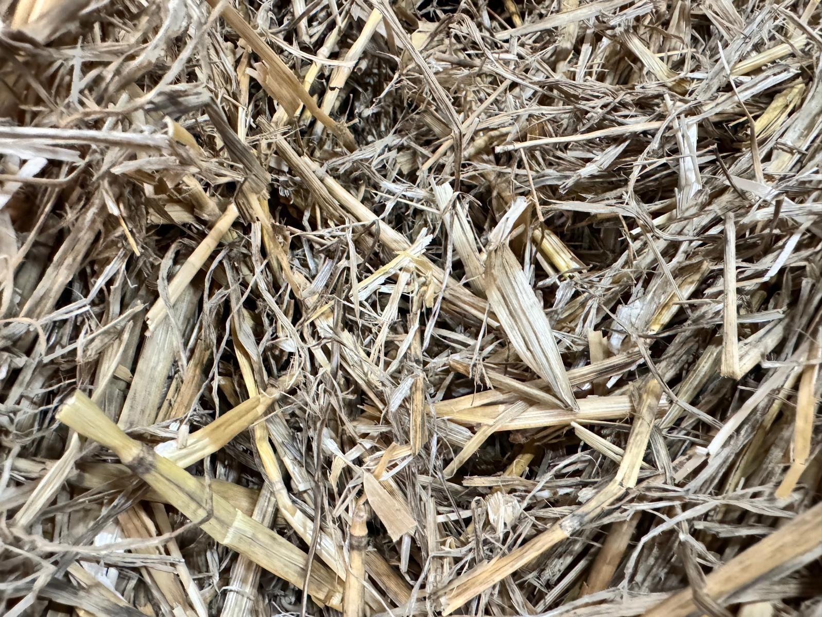 Blog - Wohin mit dem Strohhalm, der als Füllmaterial für Ihre ...