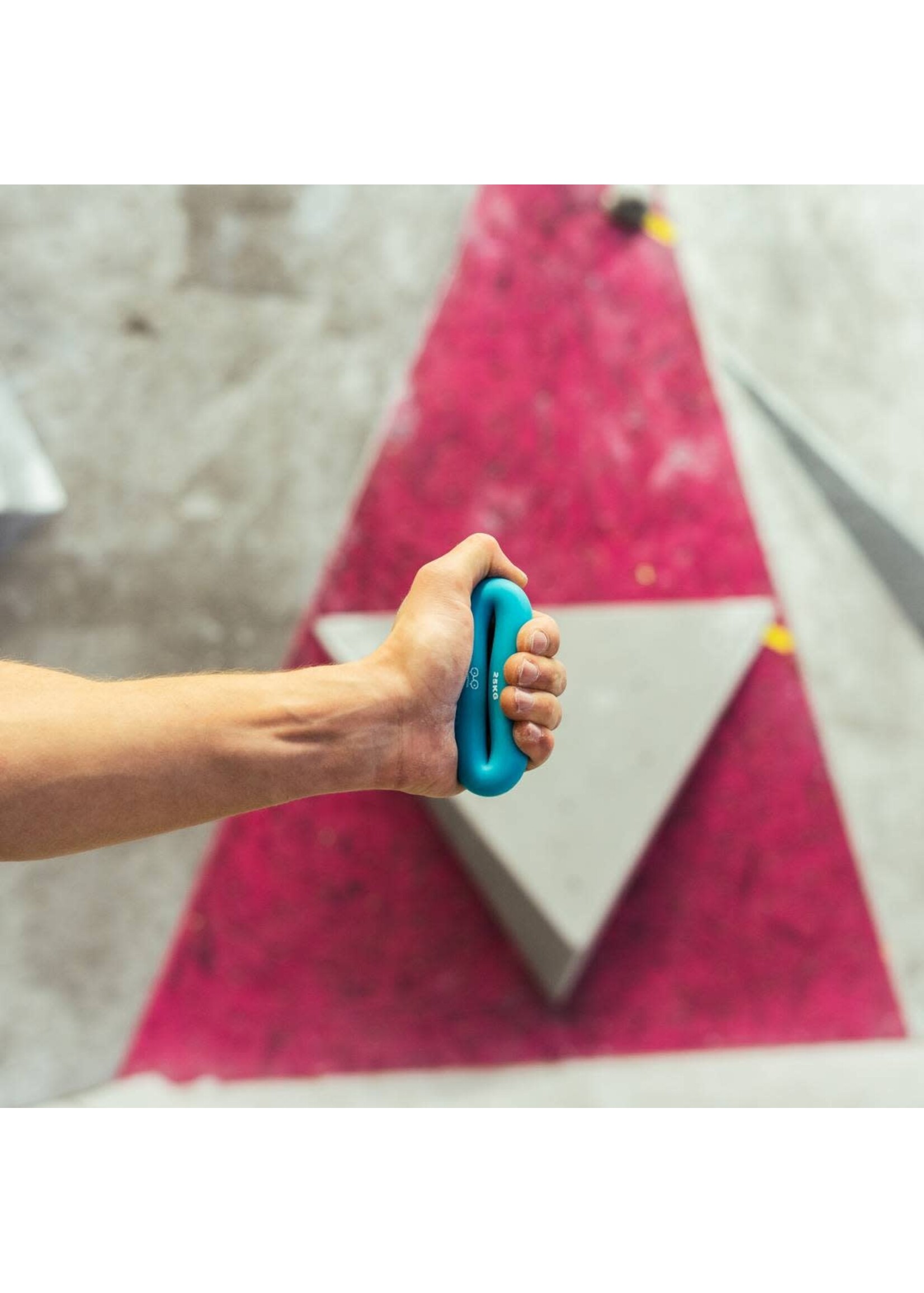 Climbing Ring Blue 25Kg - De Steenuil