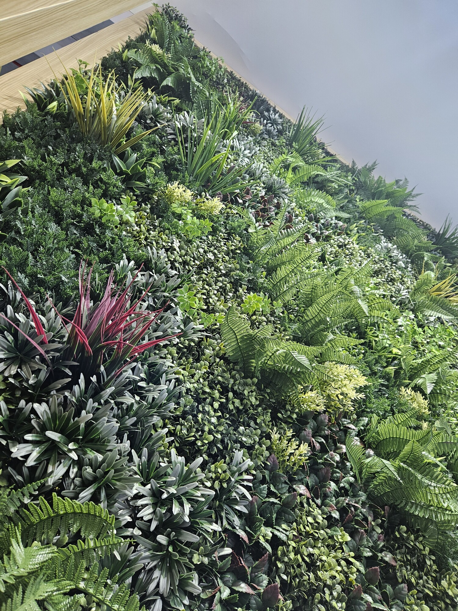 OPPIO Moss Panel Kunsthaag - DAINTREE- 100x100 cm | Akupanel-outlet