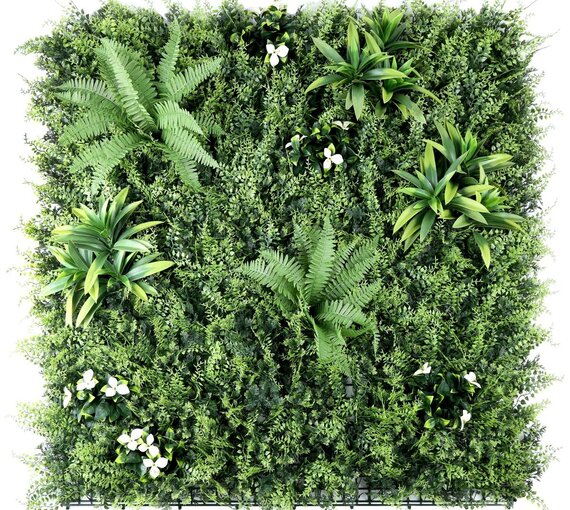 Moss Panelen - Akupanel-Outlet