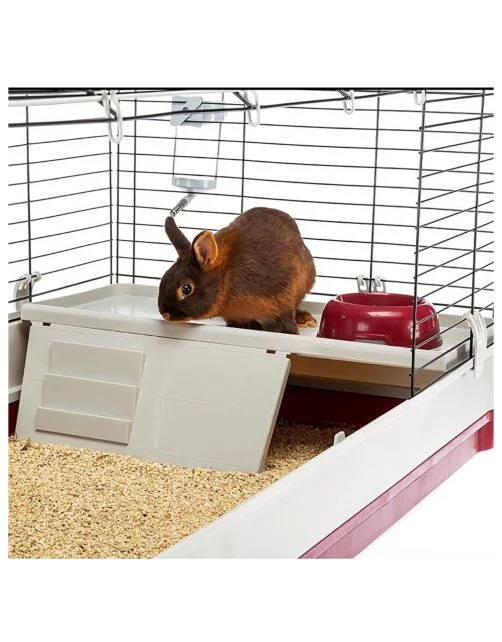 Buy Rabbit Cage Krolik 160 Gray Red 162 X 60 X 50 Cm Online ...