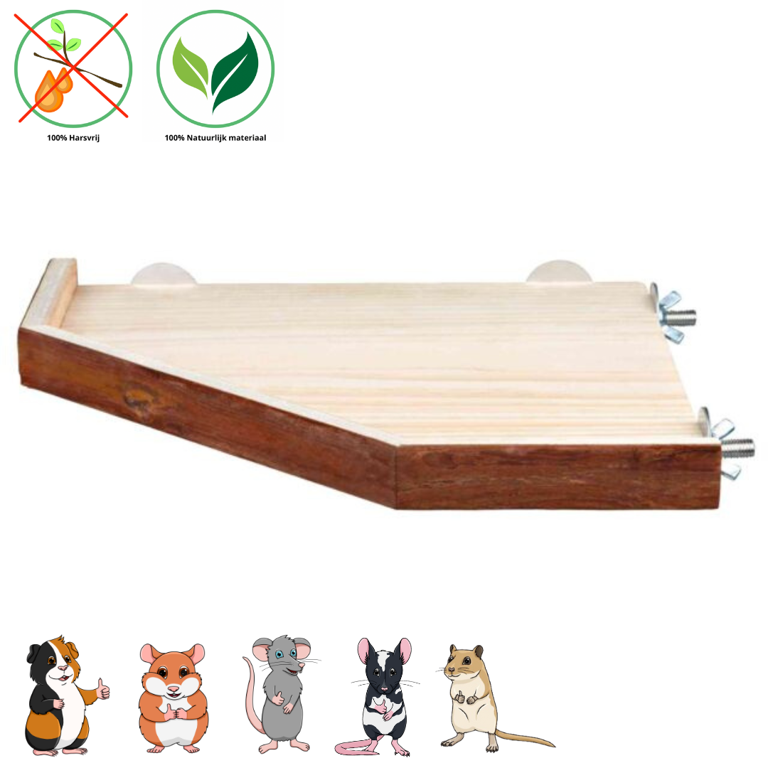 Plateau 28 × 28 Cm Kopen? - Knaagplaza - Knaagplaza