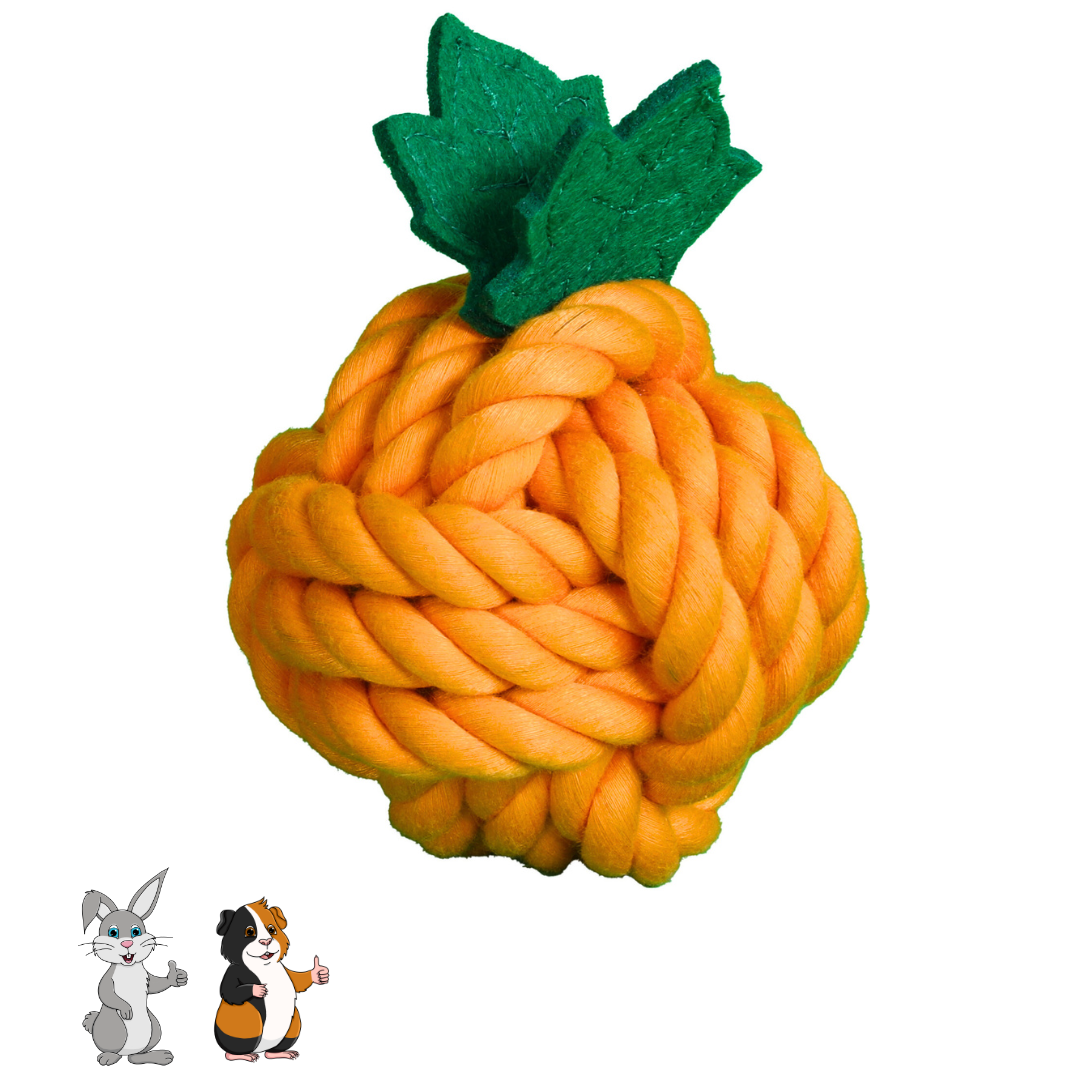 JR Farm Copy of JR Farm knaagdier hooi-/bloementaart, 75 gram - Knaagplaza