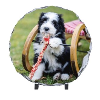 Photo Slate - Feeërieke