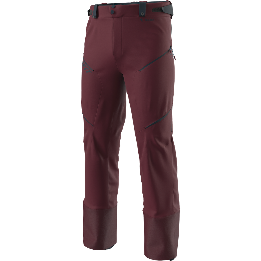 Radical GORE-TEX Pants Men - SILVER SPORT