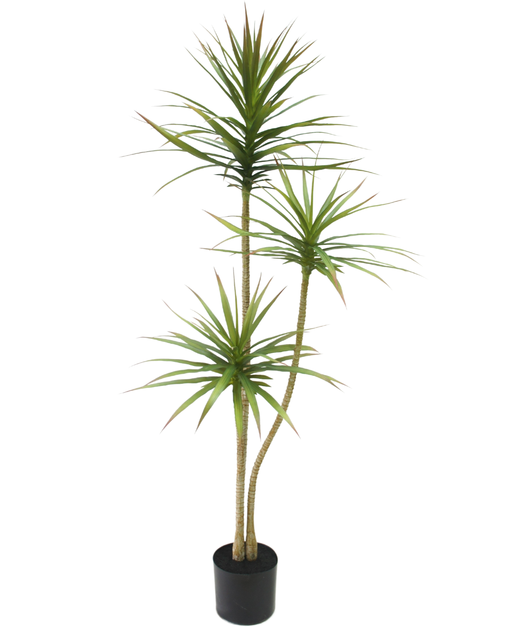 Planta artificial Dracaena Fragnans 150 cm - Easyplants