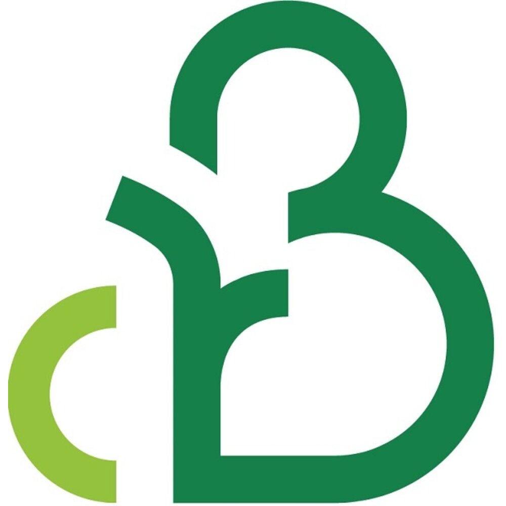 Ligustrum delavayanum | Liguster | Heester - De Batterijen