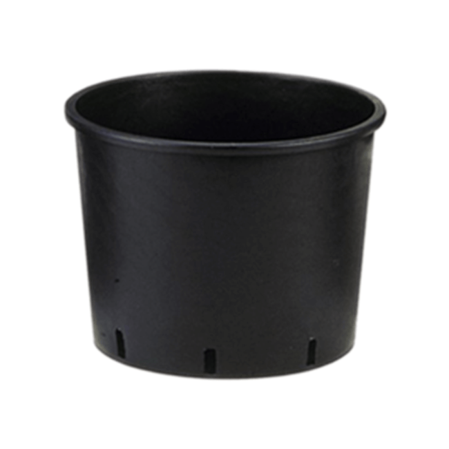 Pot de culture - www.fleurdirect.fr