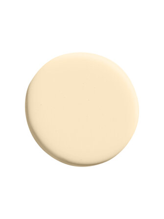 Shade by Kelly - SHADE - Designer Paint