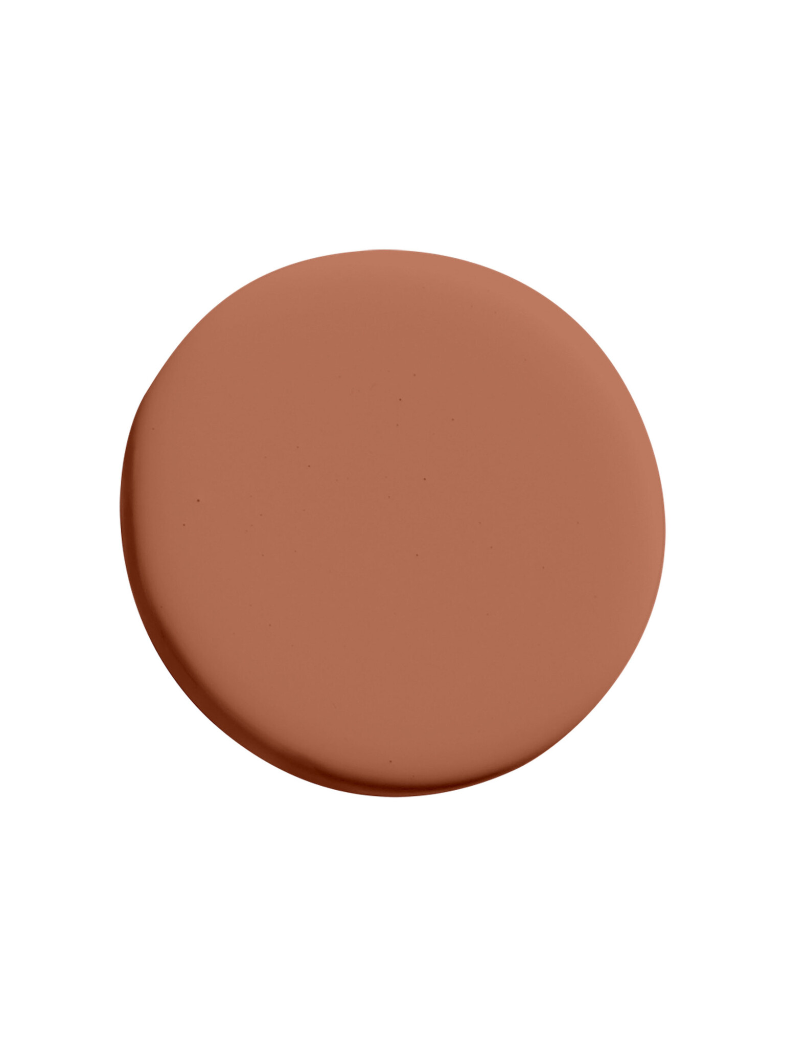 Dusty Rusty KC07 - SHADE - Designer Paint