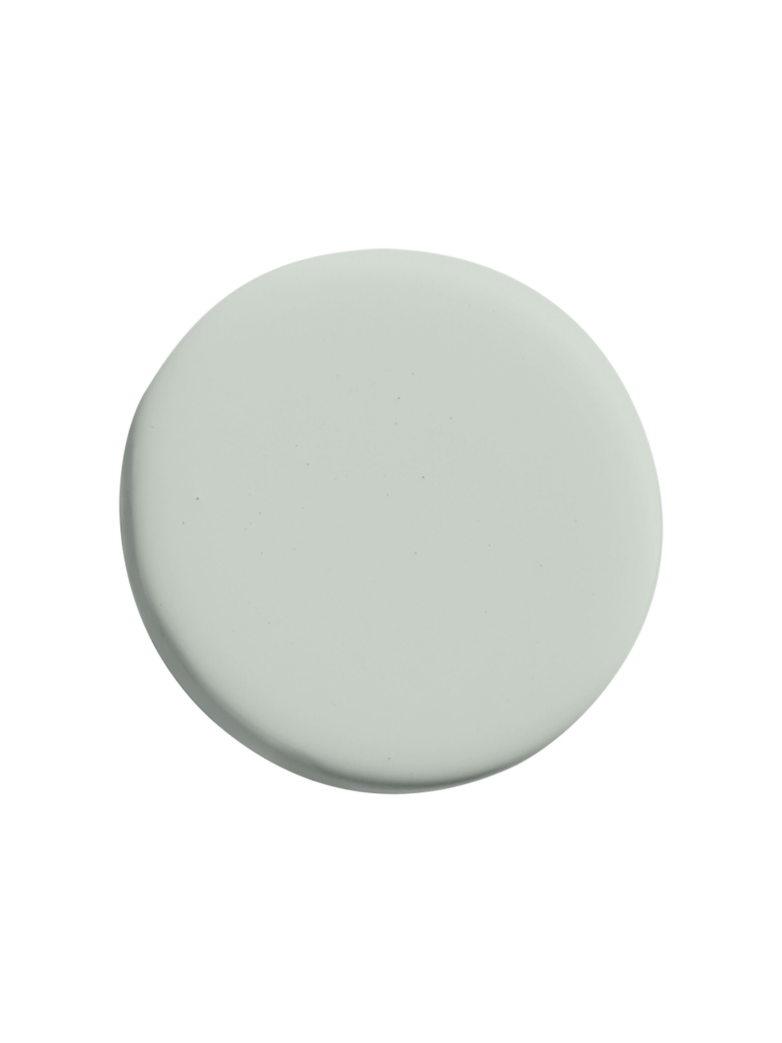 Silver Sage ES21 - SHADE - Designer Paint