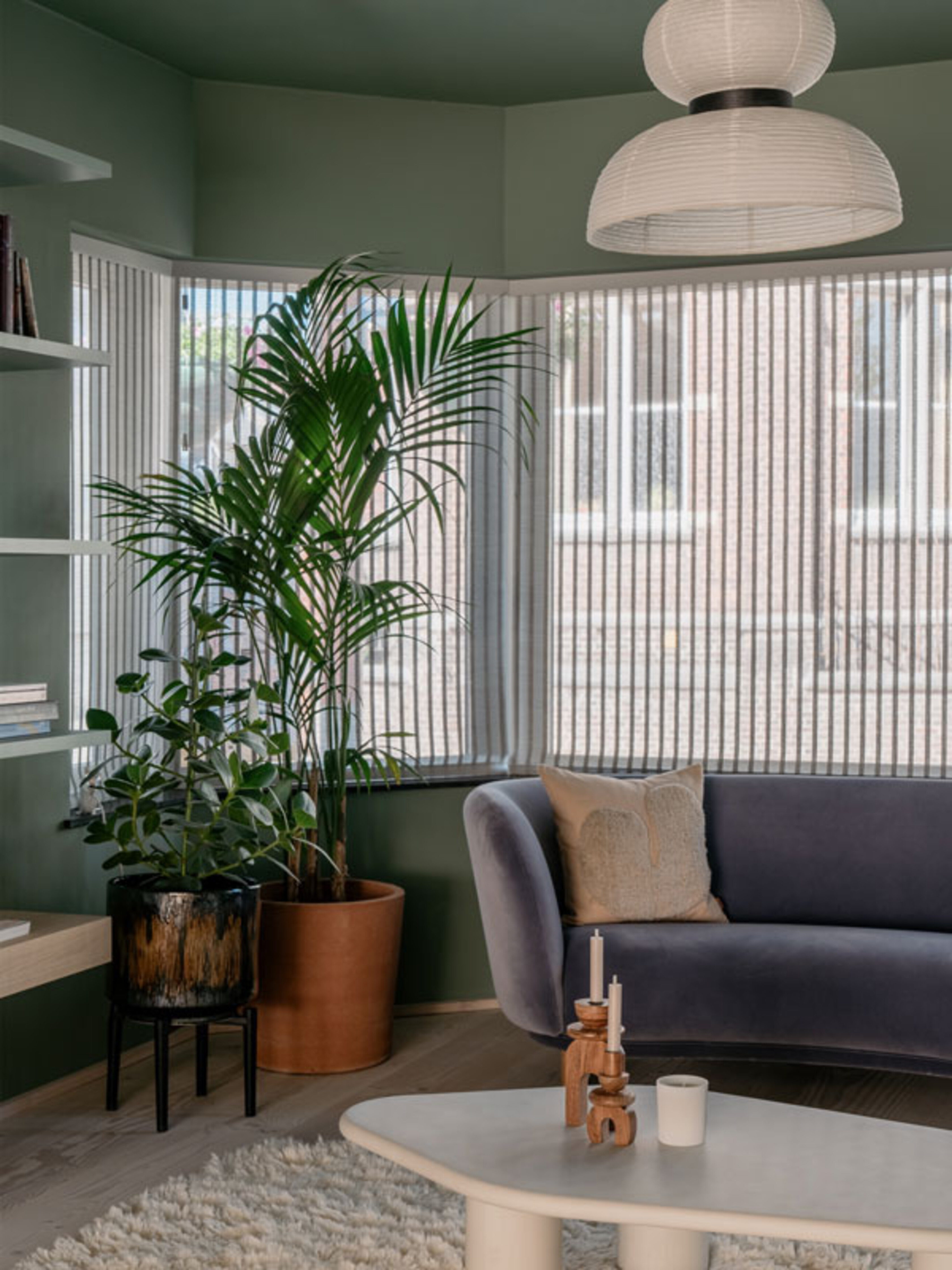 Sassy Snake ES14 - SHADE - Designer Paint