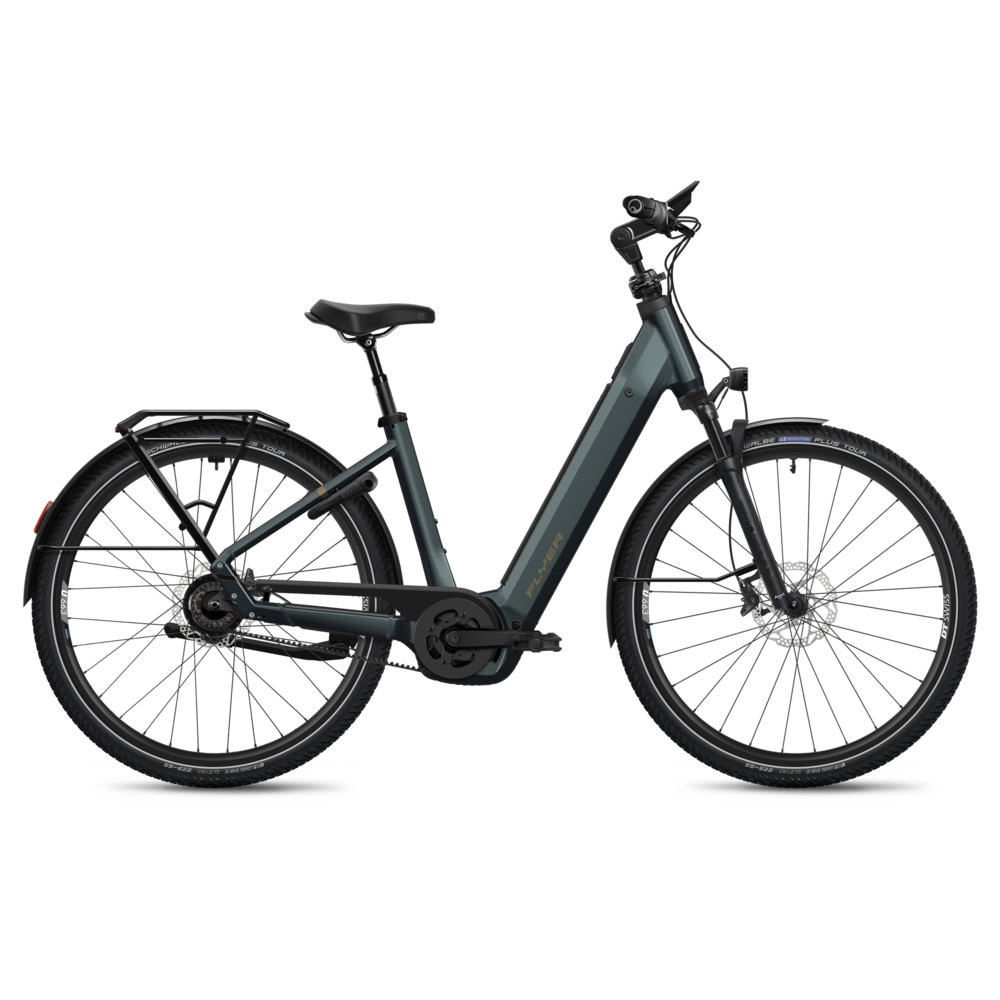 Flyer Gotour 7.43 | Bosch 85 Nm | 800 Wh | Shimano Nexus 5 | Riemen ...