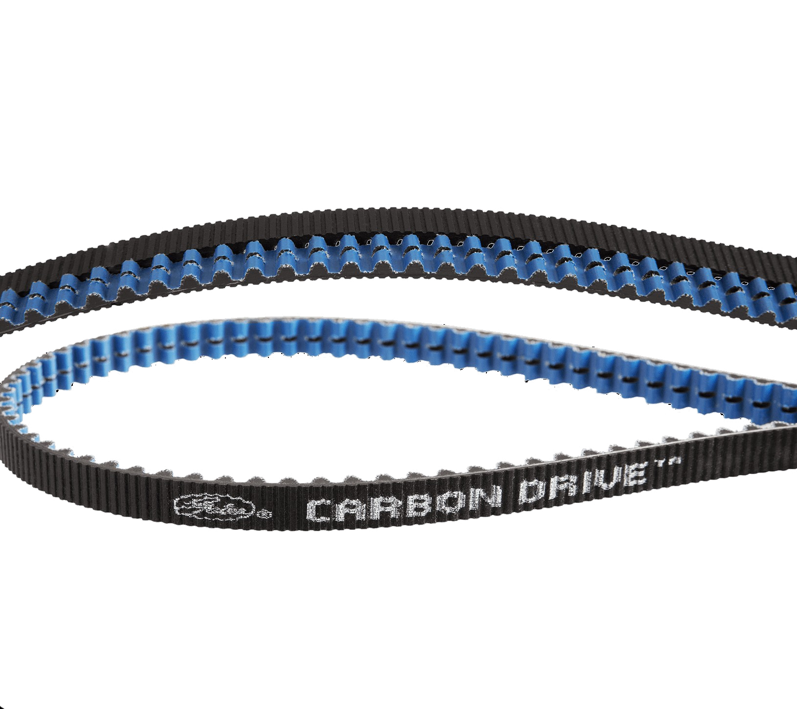 Gates Carbon Drive Riemen 115Z Schwarz/Blau - Eltener Fahrradprofi