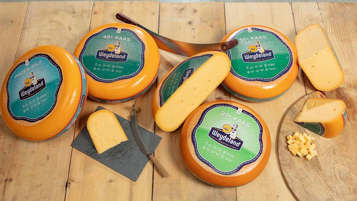 Wat is vegetarische kaas en waarom kiezen voor plantaardig stremsel ...