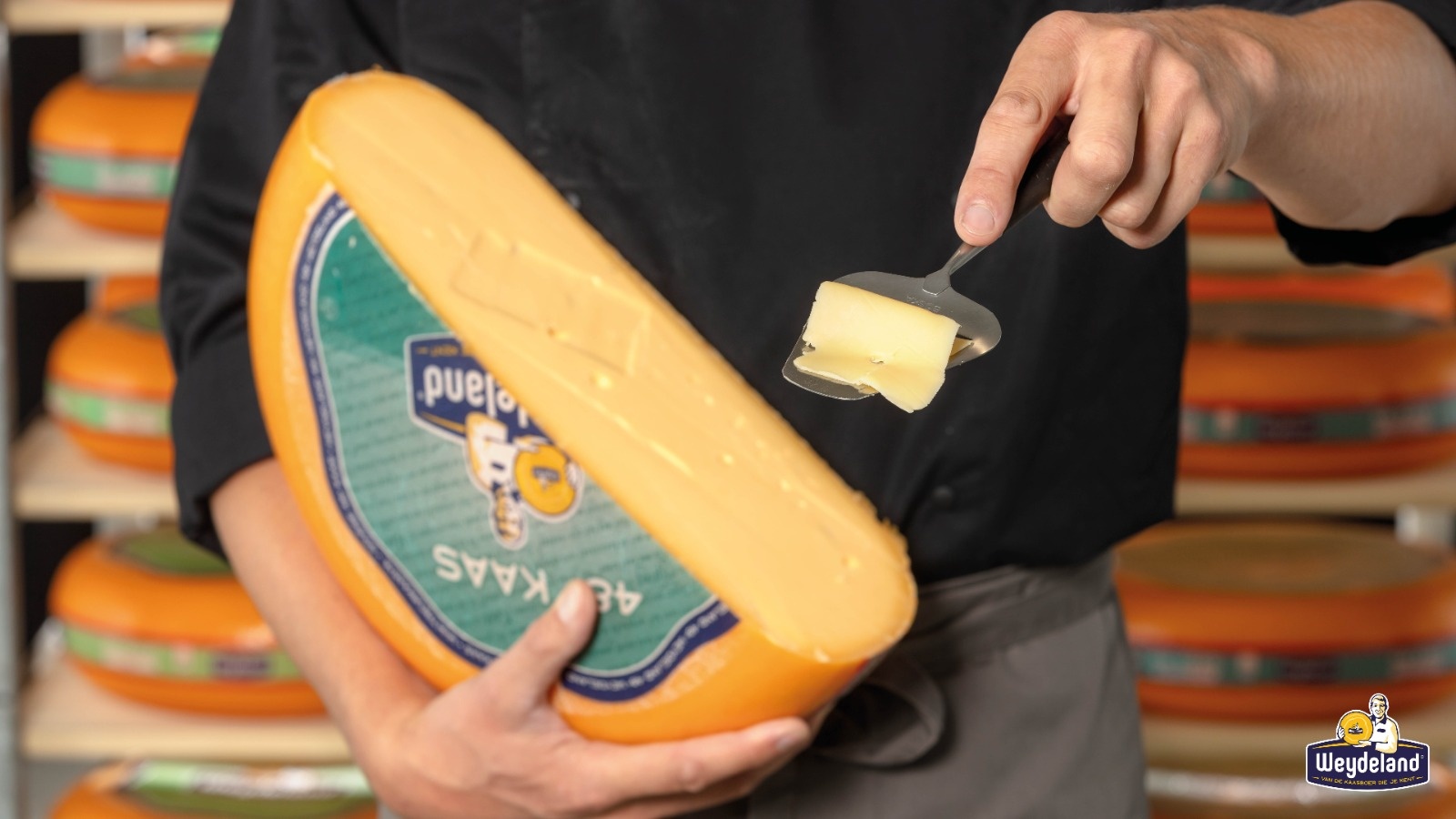 Wat is kaas? Alles wat je moet weten over deze heerlijke lekkernij ...
