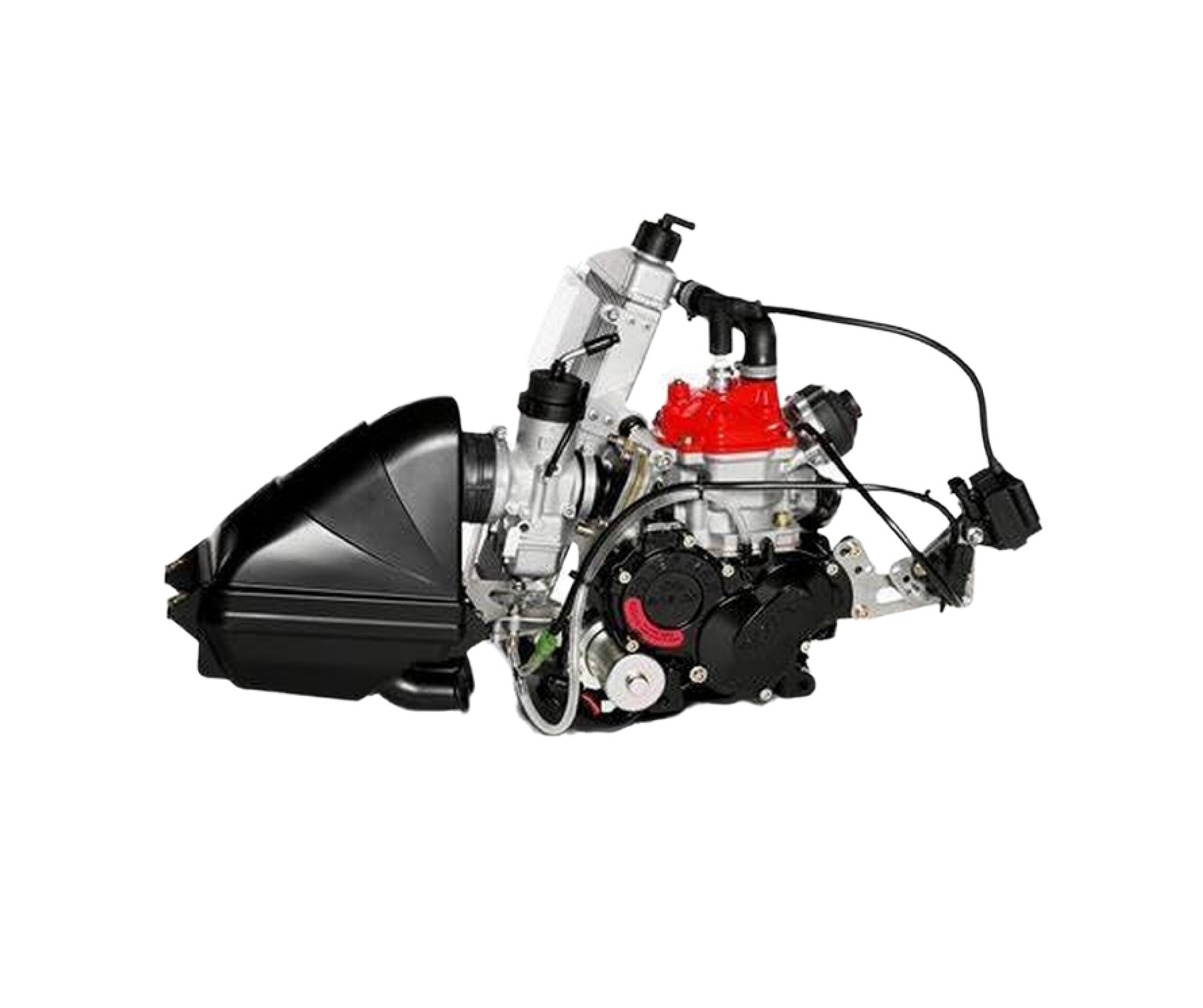 ROTAX 125 MINI MAX EVO COMPLETE