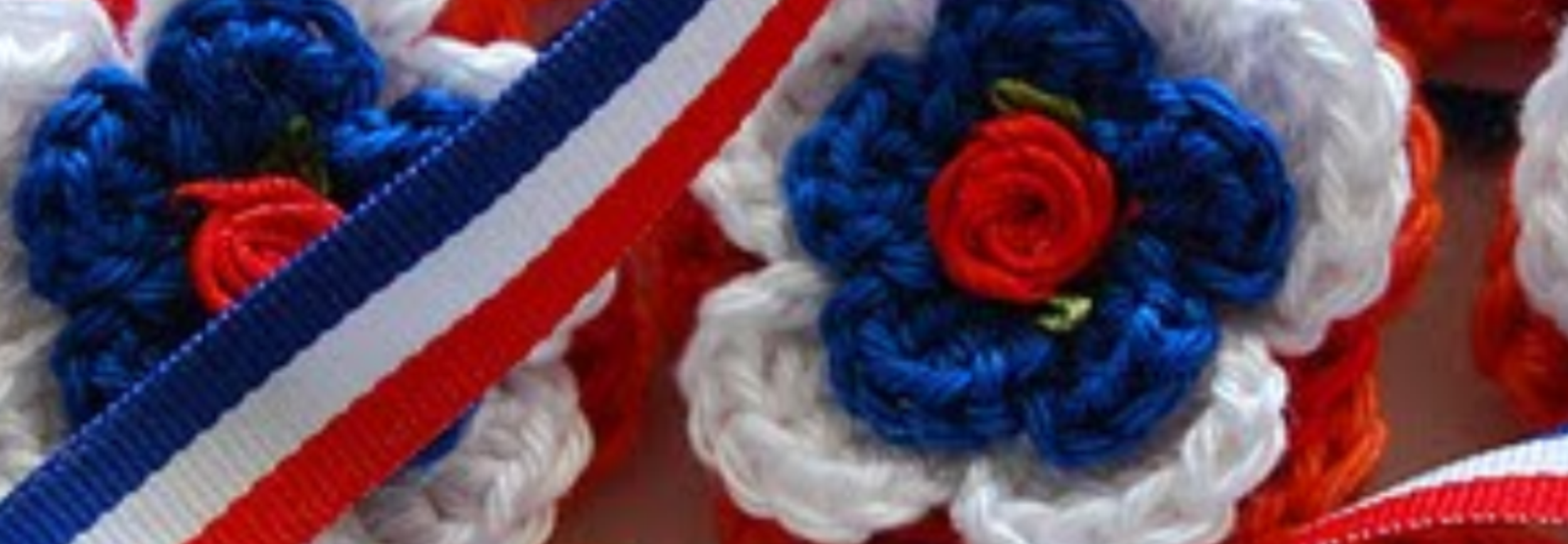 Koninginnedag 2010 - Echtstudio