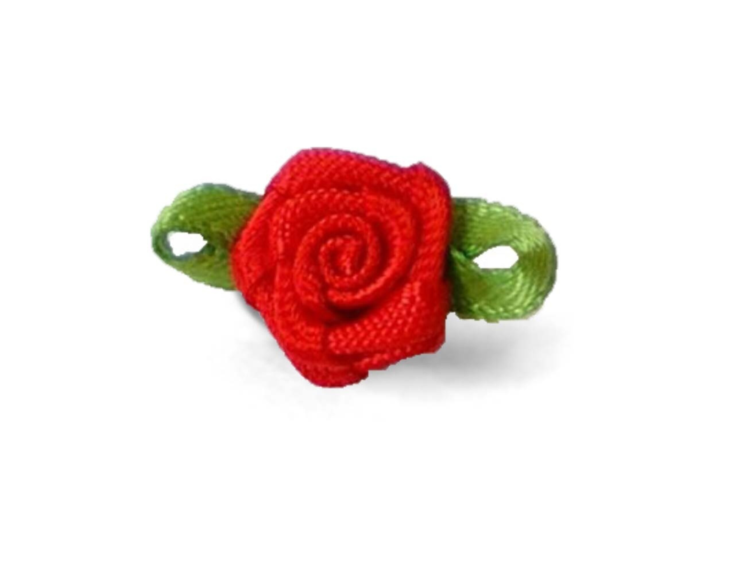 Roosjes rood kopen? - Echtstudio