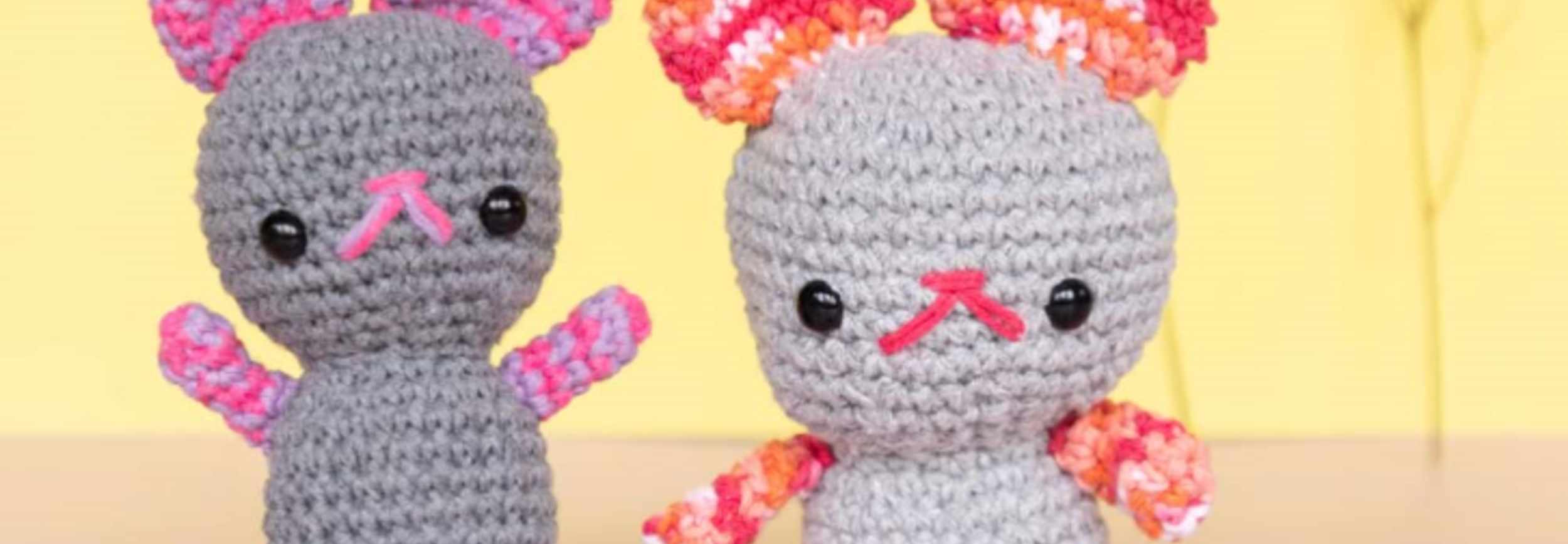 Echtstudio is over - Echtstudio