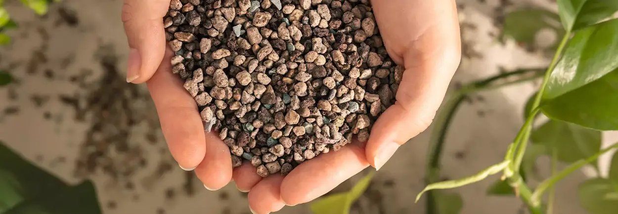 Substraat of potgrond: wat is het verschil en wat is beter? - Lechuza ...