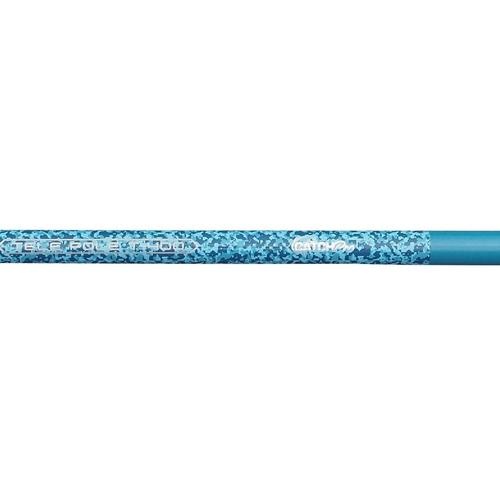 CATCH PRO IITelePole 3/4/5/6 Meter - FishstoreXL
