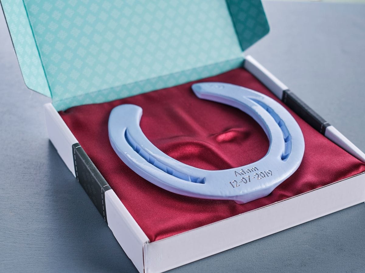 Buy engraved Horseshoe in Baby blue coated color? - Good Luck Horseshoes