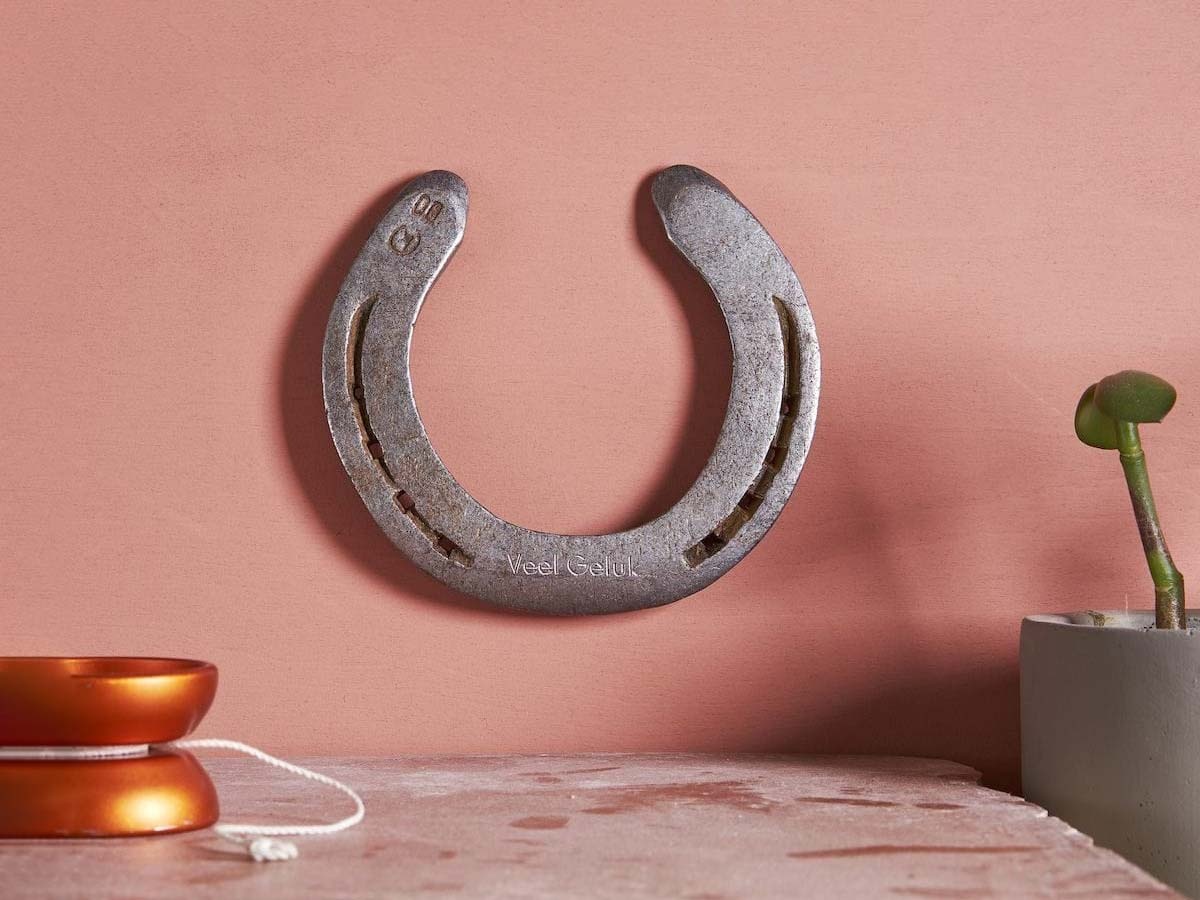 Gegraveerd Hoefijzer Budget kopen? - Good Luck Horseshoes