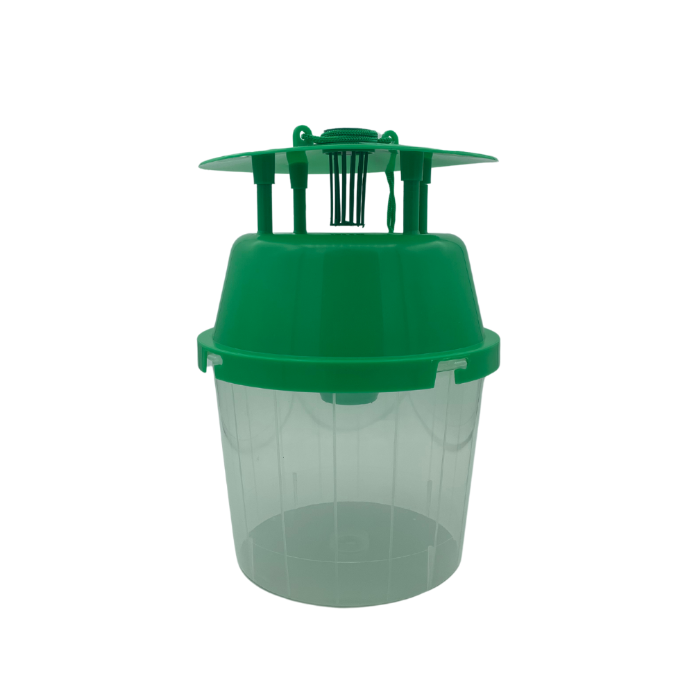 Feromoonval | Eikenprocessierups - Innogreen