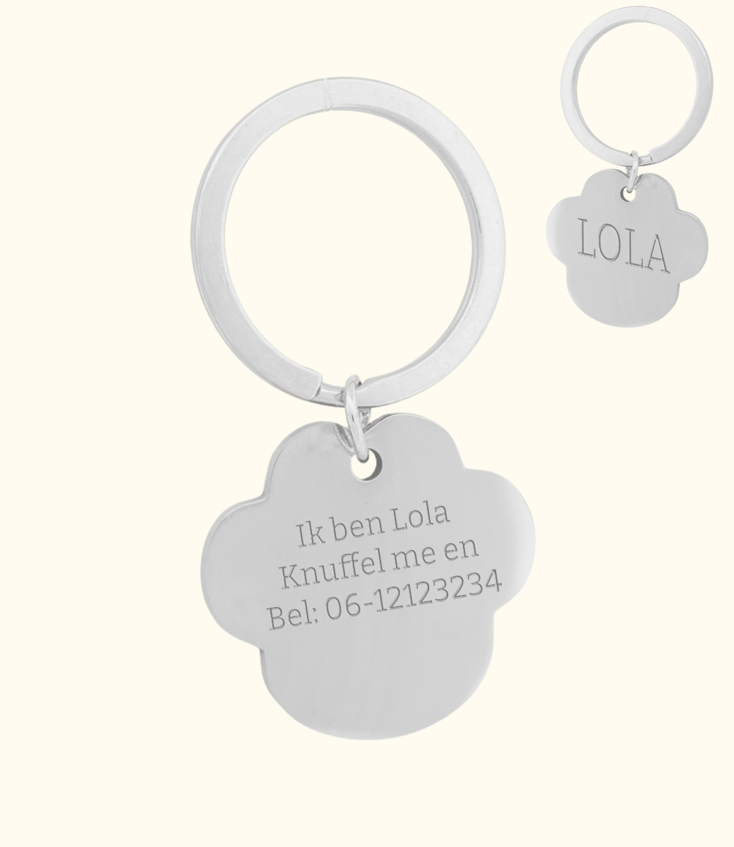 Hondenpoot Hondenpenning Met Naam En Telefoonnummer - Zilver En Goud ...