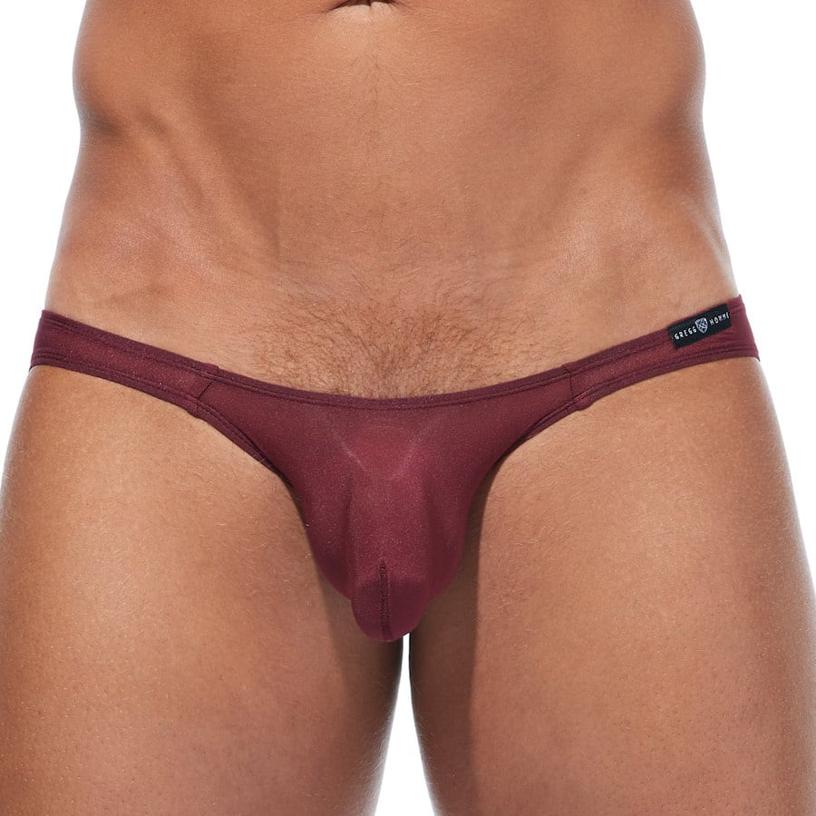 Gregg Homme Torridz brief - YourUnderwearStore