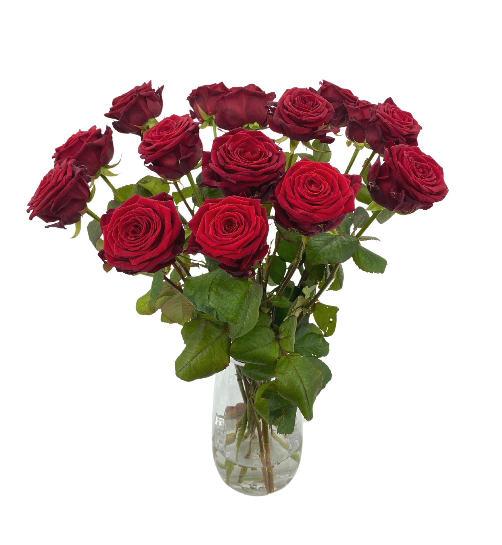 Verse rode rozen - Lengte 55 centimeter - Per 20 rozen - Florimo ...