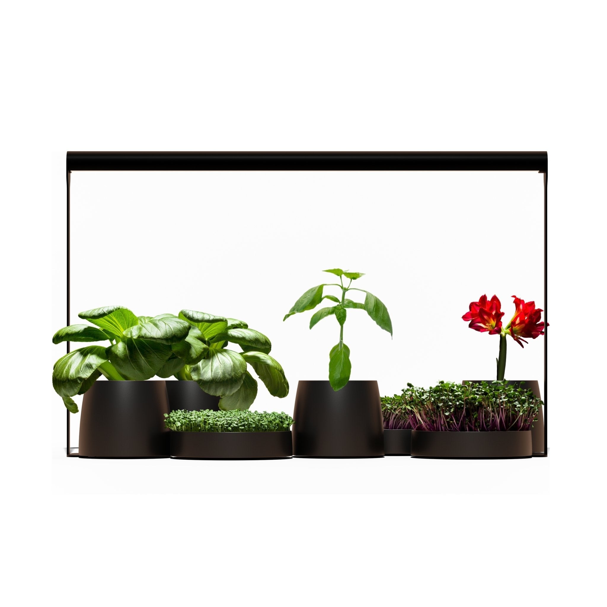 Mother Plantspectrum 16 LED Grow Lamp LED Grow Lights - The LED Warehouse