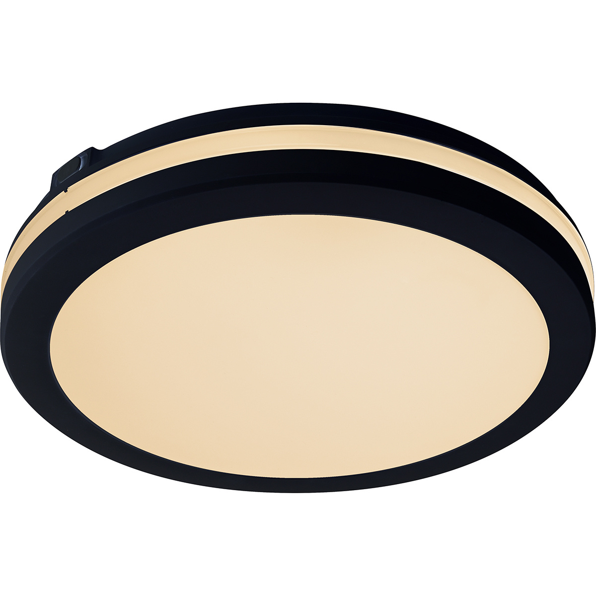LED Ceiling Light 30W - Round IP65 Black & White LED Lamp