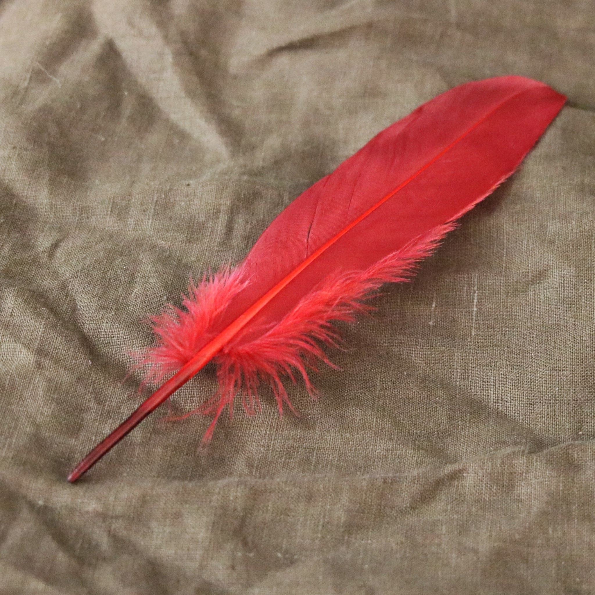 Goose feather red, 15-21 cm - CelticWebMerchant.co.uk