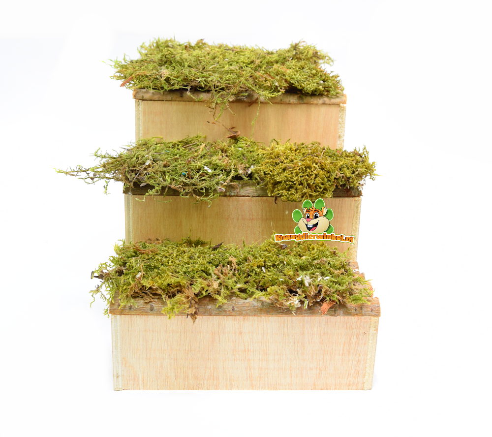 Wooden Staircase House 42 cm | DRD Knaagdierwinkel®