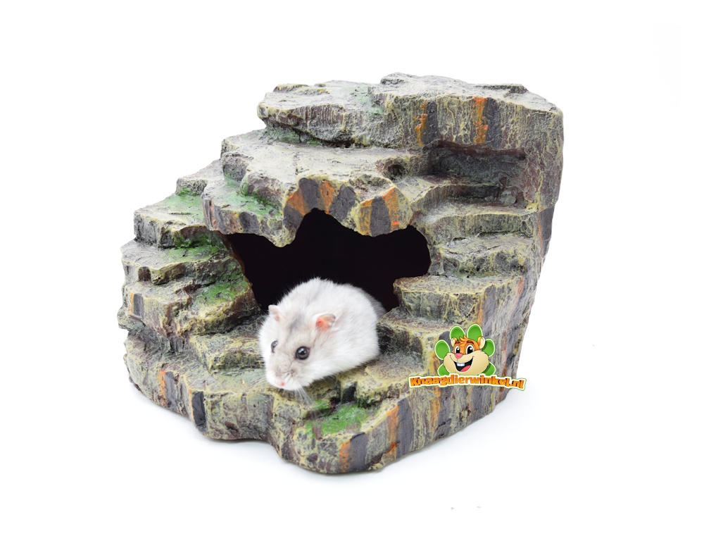 Rainforest Shelter 24 cm | DRD Knaagdierwinkel