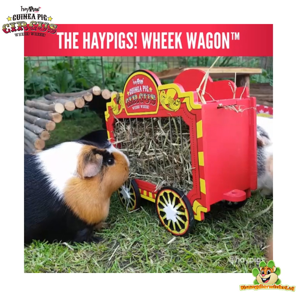 Circus Hay wagon 23 cm | DRD Knaagdierwinkel