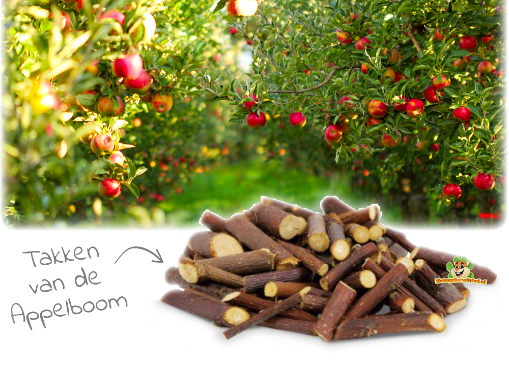 JR Farm Knabbern Holz Apfelbaum | DRD Knaagdierwinkel