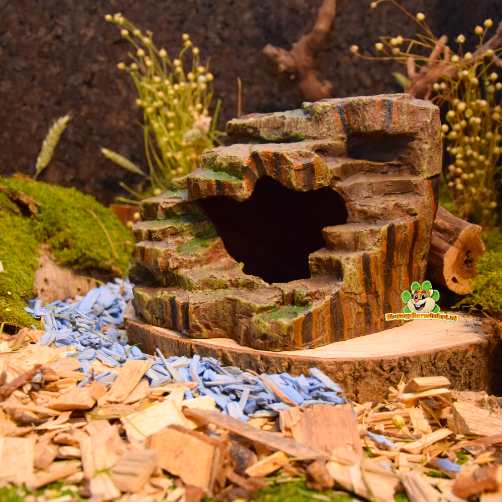 Rainforest Shelter 24 cm | DRD Knaagdierwinkel