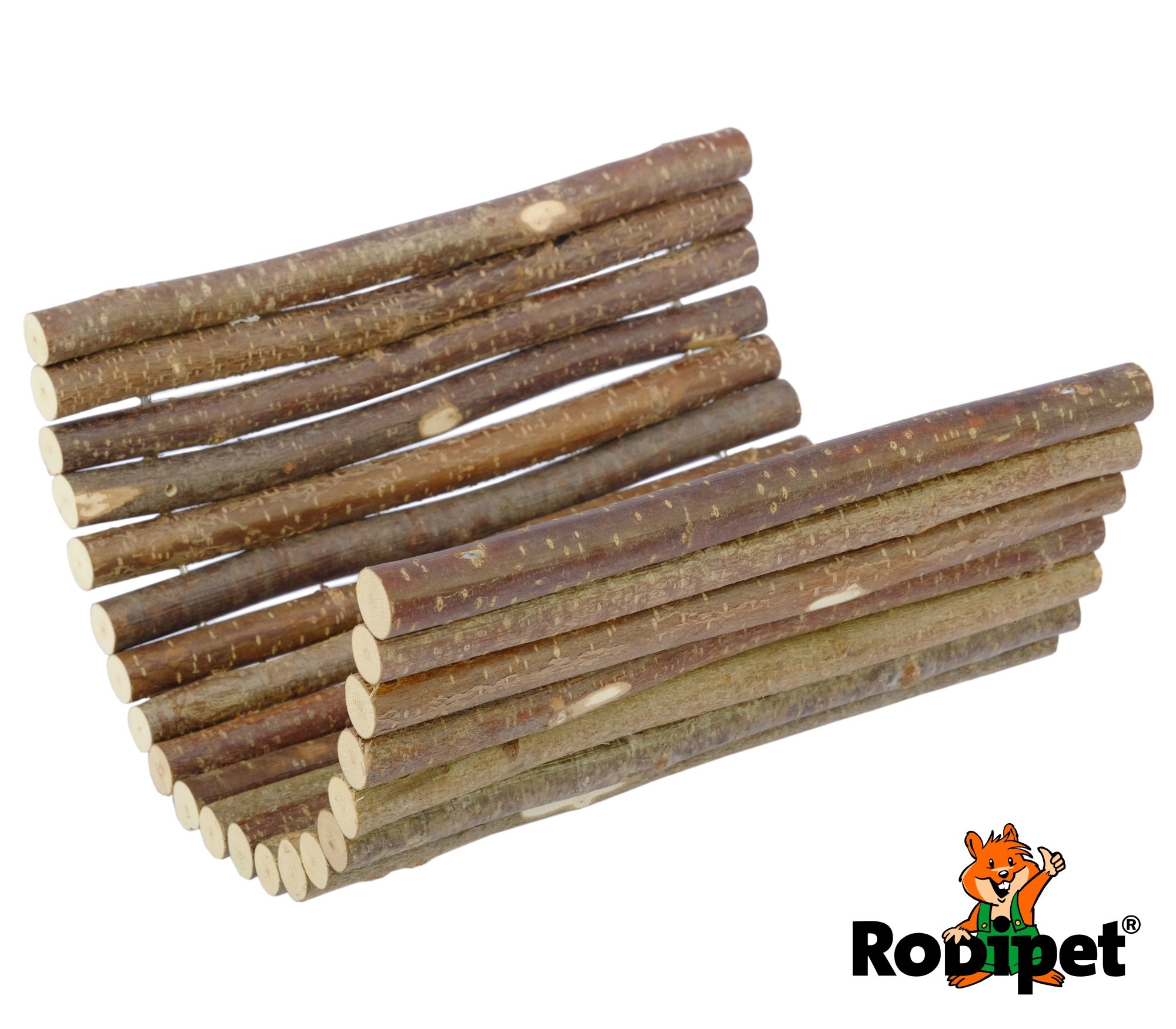 Hazelnut Bridge for Rodents & Rabbits! | DRD Knaagdierwinkel® Rodentshop