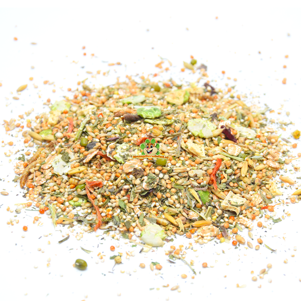 Bunny Nature GerbilDream Expert Gerbil Food 500 grams | DRD ...