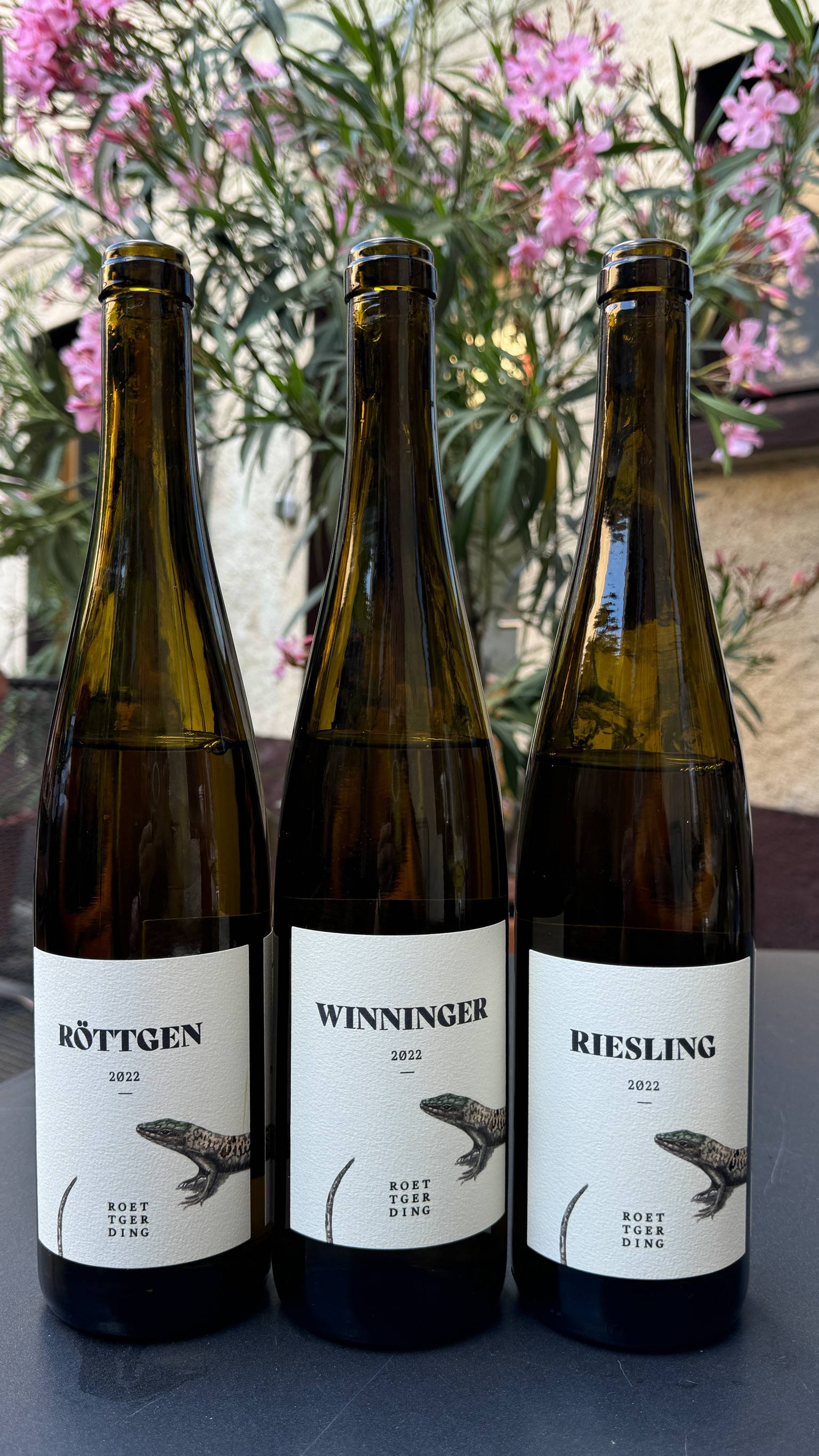 Cour du Vin | Biodynamische kwaliteitswijn - Cour du Vin