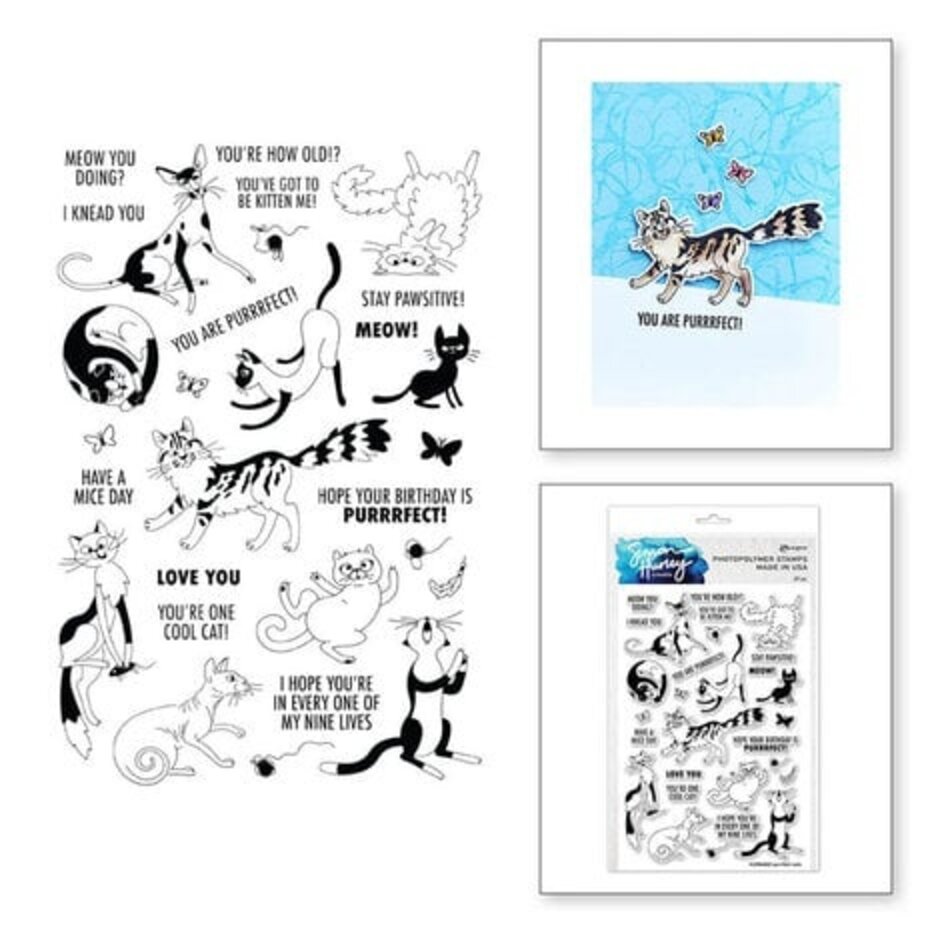 Simon Hurley Create Purrfect Cats Clear Stamps (HUR84822) - Paperpads.nl